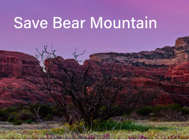 Projects – Madre Tierra Foundation